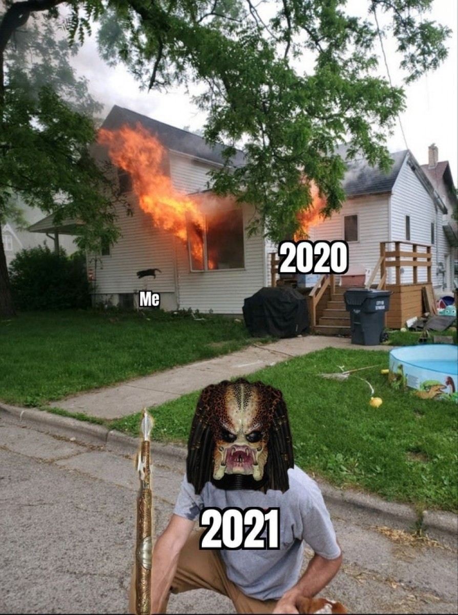 Reddit Viral: Gato se salva solo de un incendio, y su foto se convierte ...